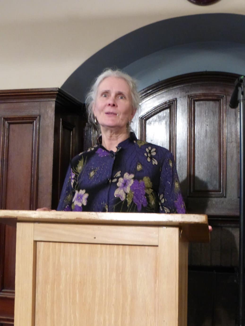 Kay Tomlinson on the ‘Imaginal’ – C.G. Jung Society of St. Louis